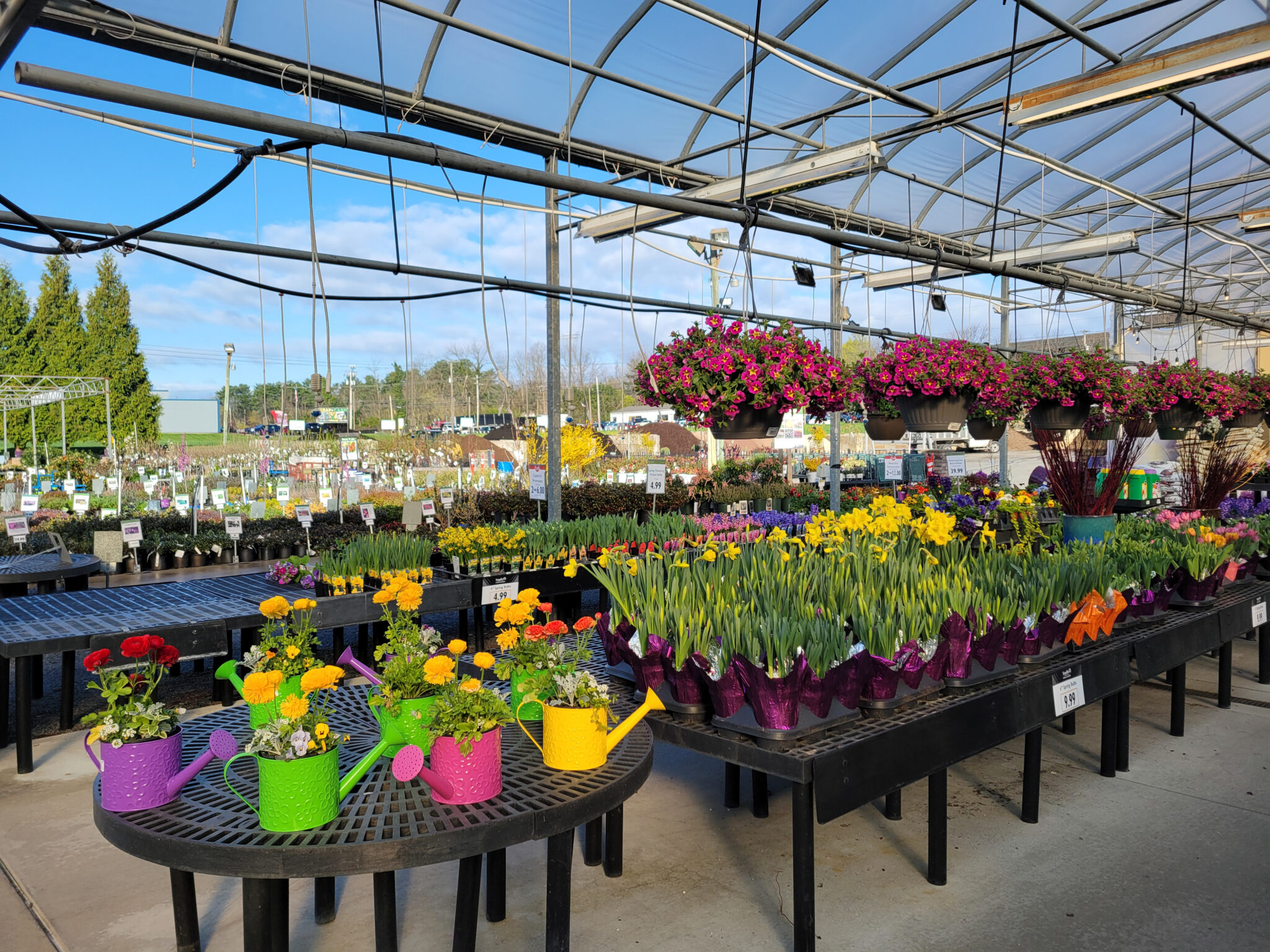 Best Home and Garden Store in York, PA