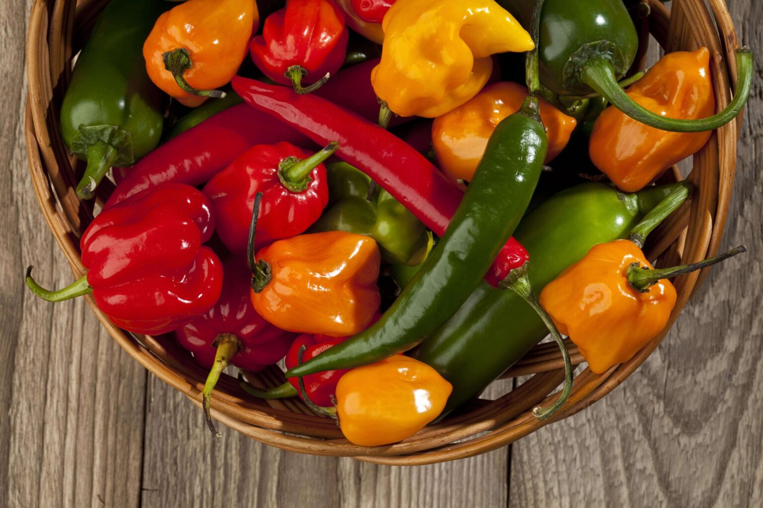 Bring The Heat: A Guide to Chili Pepper Varieties - Stauffers of Kissel ...