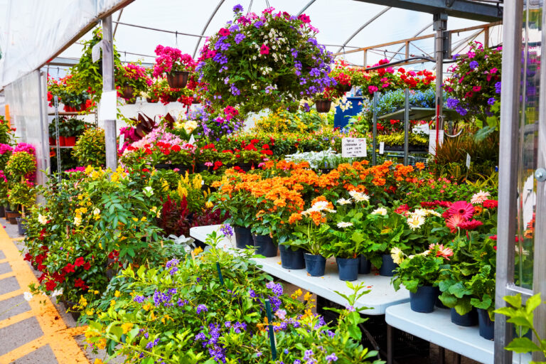 Home and Garden Store in Lancaster, PA