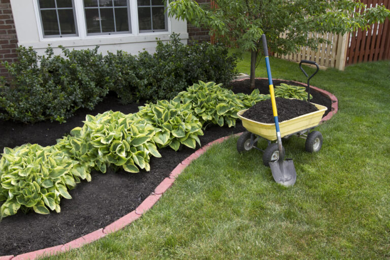 How to Lay Mulch in 5 Easy Steps