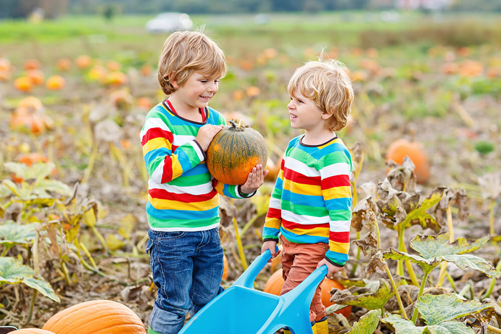 Fun & Educational Pumpkin Activities for Kids This Fall